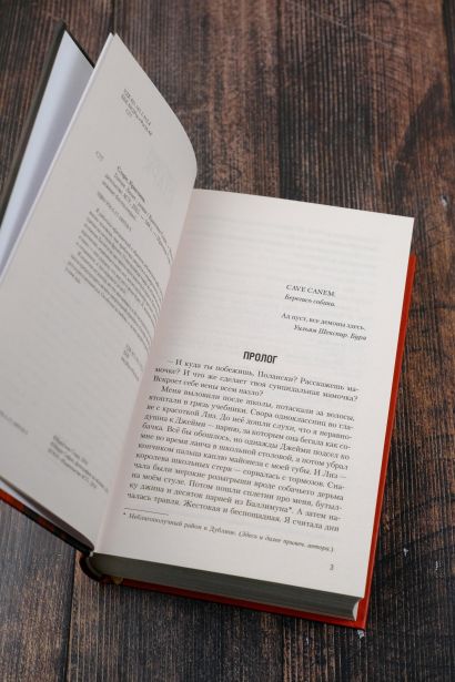 Книга Гончие Лилит • Кристина Старк – купить книгу по низкой цене ...