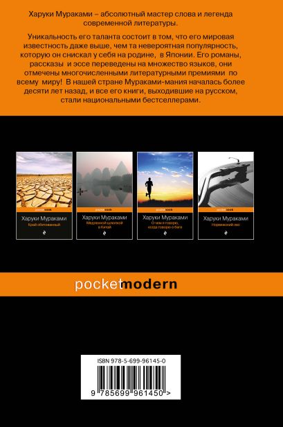 Книга Подземка • Харуки Мураками – купить книгу по низкой цене, читать ...