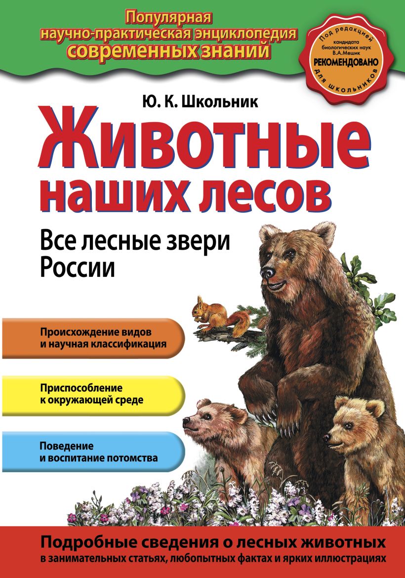 Книга Животные наших лесов. Все лесные звери России • Ю.К. Школьник ...
