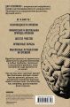 Книга Мозг - повелитель времени. Как наш мозг чувствует и измеряет ход ...